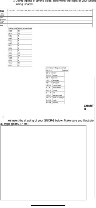 Solved The SNORG - How Does DNA Determine the Traits of an | Chegg.com