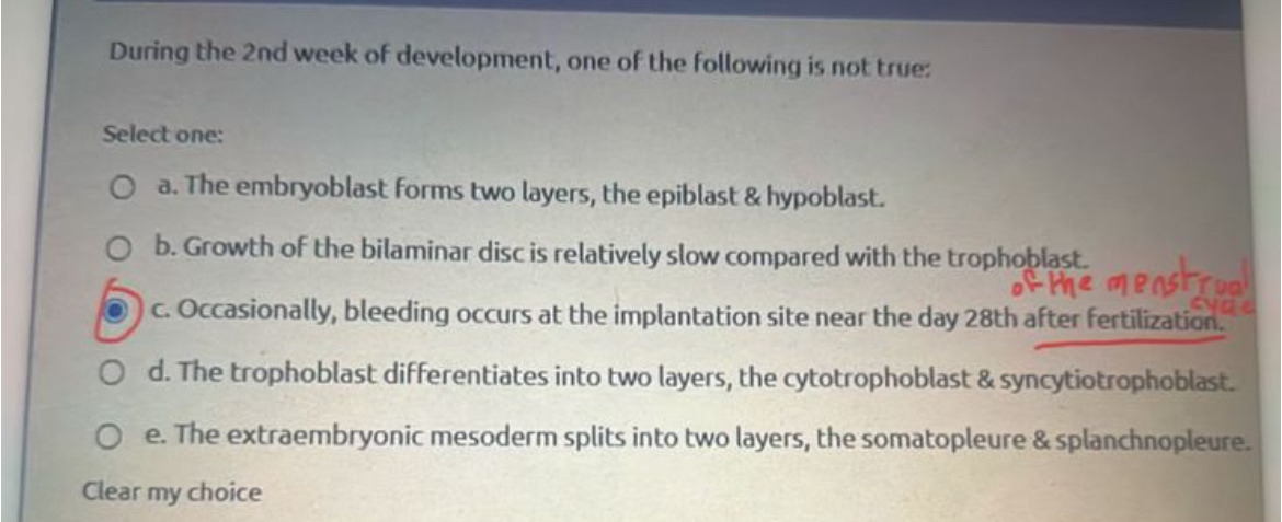 Solved During the 2nd week of development, one of the | Chegg.com