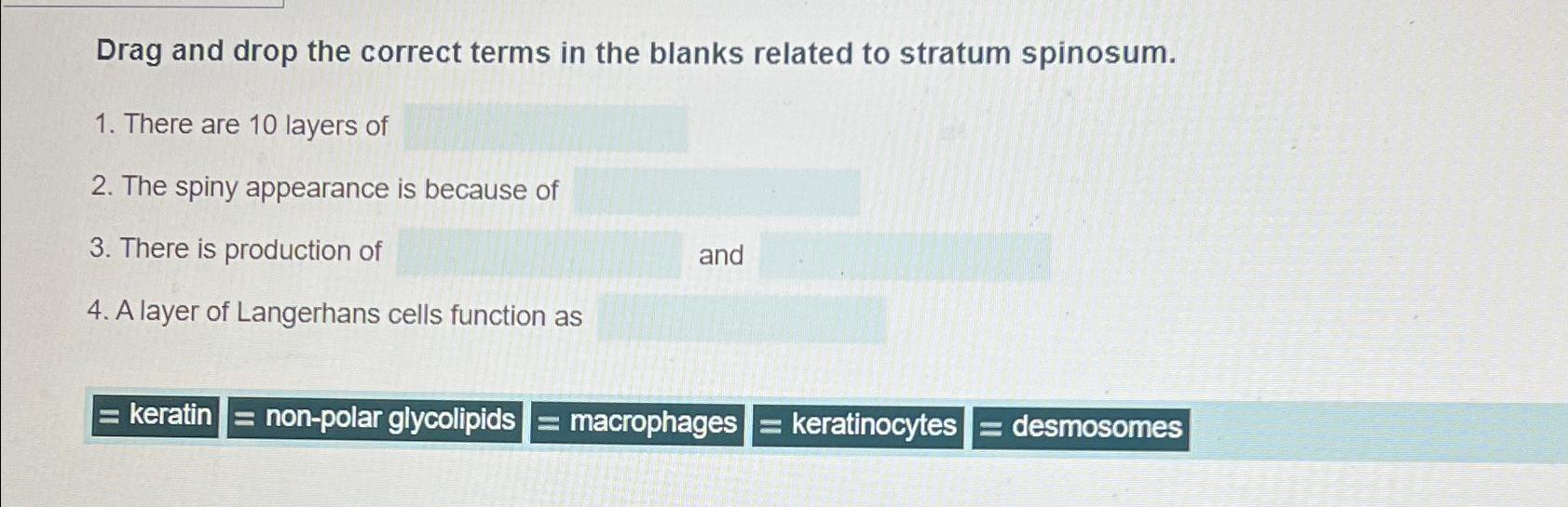 Solved Drag and drop the correct terms in the blanks related | Chegg.com