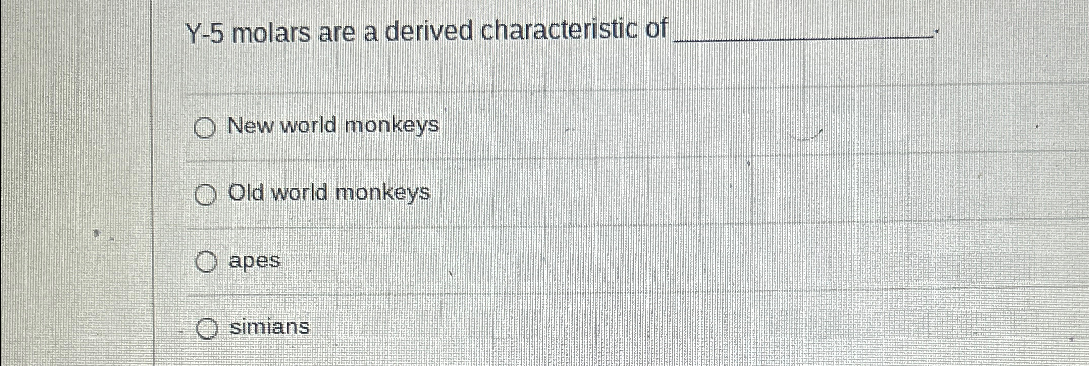 Solved Y-5 ﻿molars are a derived characteristic ofNew world | Chegg.com