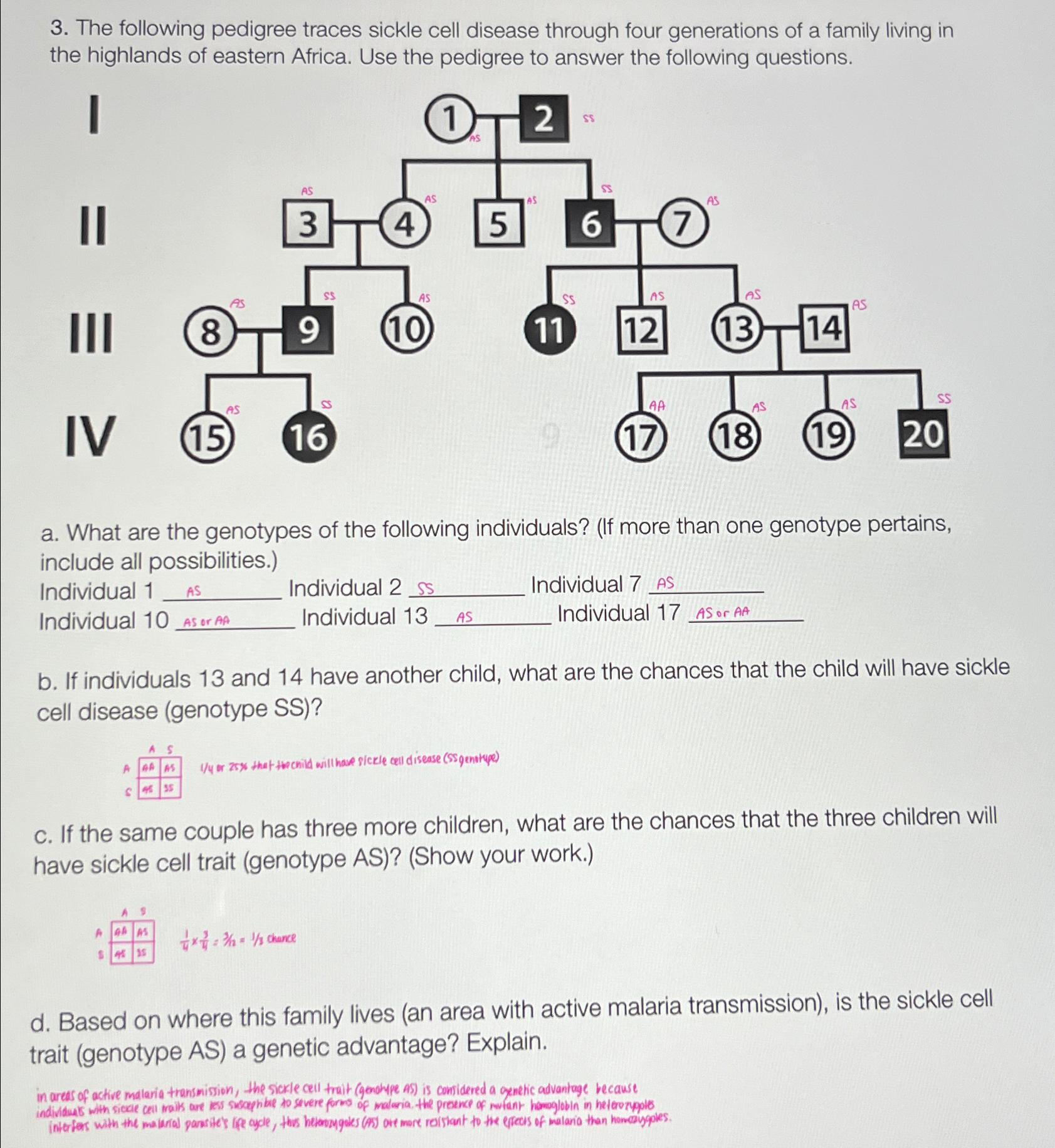Solved The following pedigree traces sickle cell disease | Chegg.com