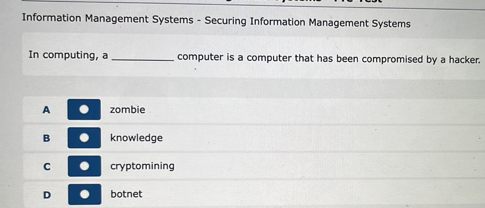 Solved Information Management Systems - ﻿Securing | Chegg.com
