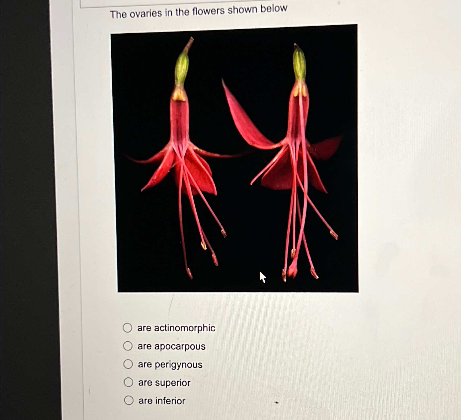Solved The ovaries in the flowers shown beloware | Chegg.com