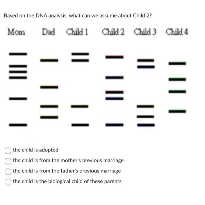 Solved Based on the DNA analysis, what can we assume about | Chegg.com