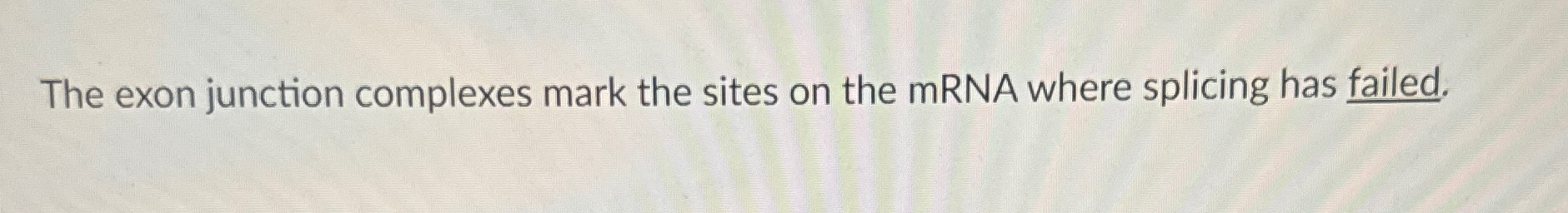 Solved The exon junction complexes mark the sites on the | Chegg.com