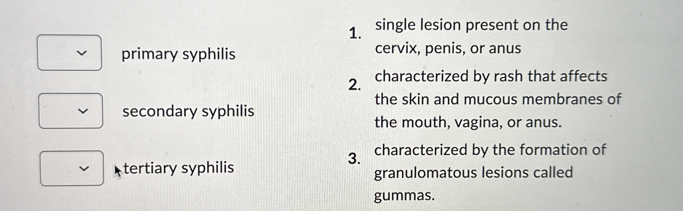 primary syphilissingle lesion present on the | Chegg.com