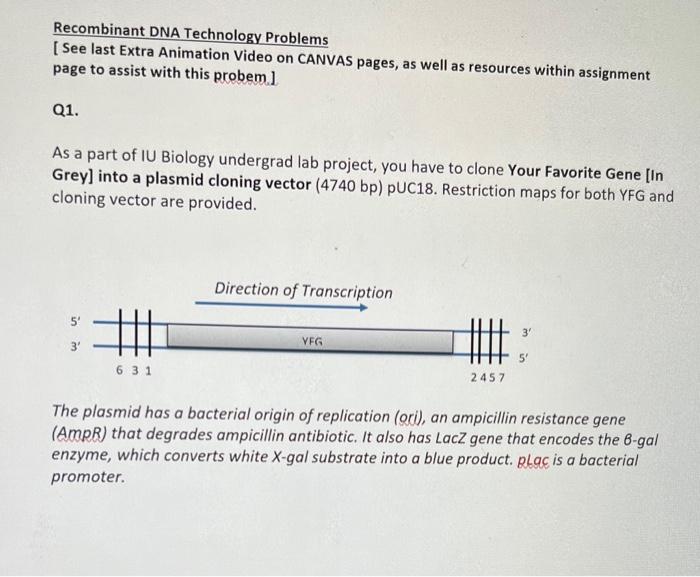 Recombinant DNA Technology Problems [See last Extra | Chegg.com