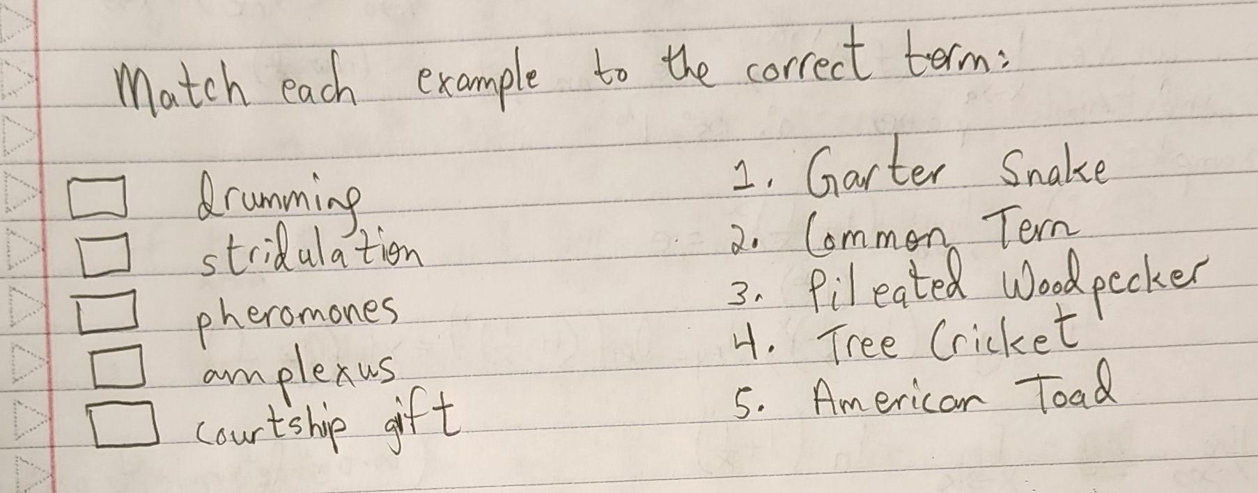 Solved Match each example to the correct term:drummingGarter | Chegg.com