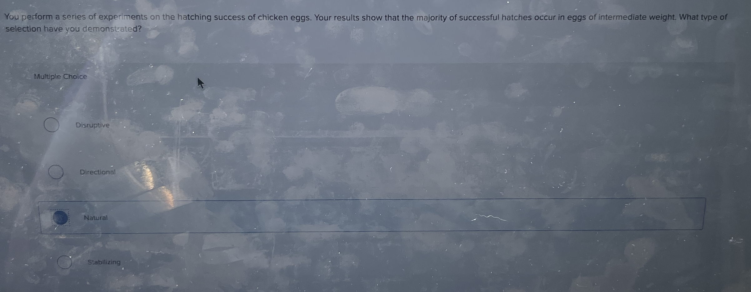 Solved You perform a series of experiments on the hatching | Chegg.com