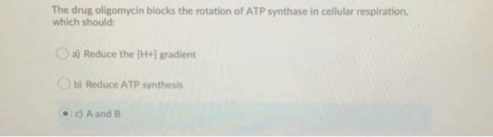Solved PLEASE REPLY ASAPNot sure if my answer is right. | Chegg.com