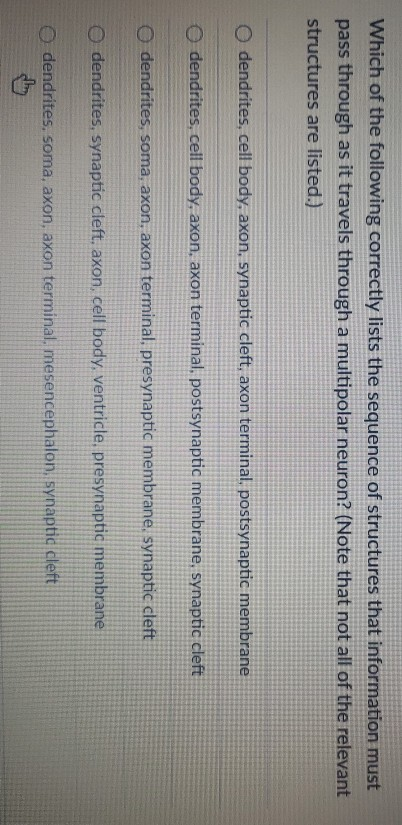 Solved Which of the following correctly lists the sequence | Chegg.com