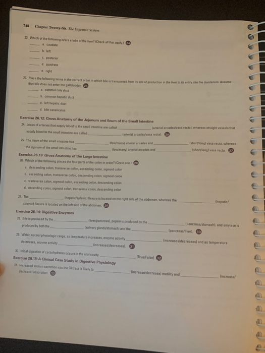 Solved Chapter 26: The Digestive System These Pre-Laboratory | Chegg.com