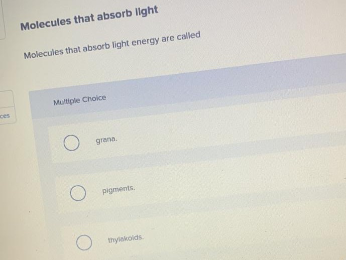 Solved Molecules that absorb light Molecules that absorb | Chegg.com