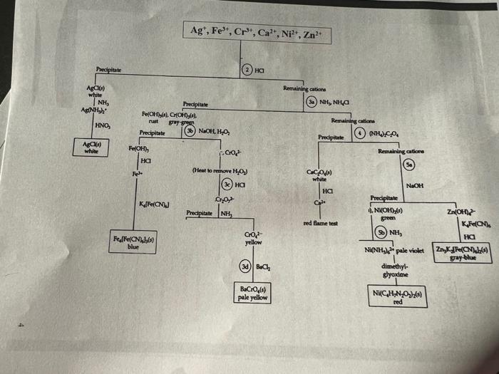 make your own version of the cations qual anaysis | Chegg.com