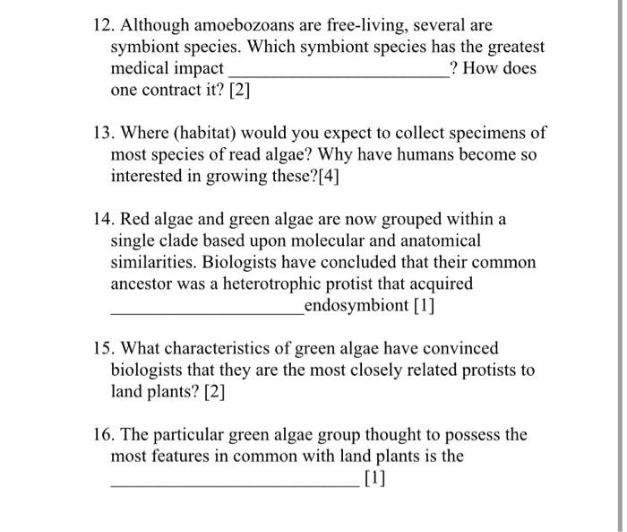 Solved 1 What Would Be The Best Definition Of A Protist 