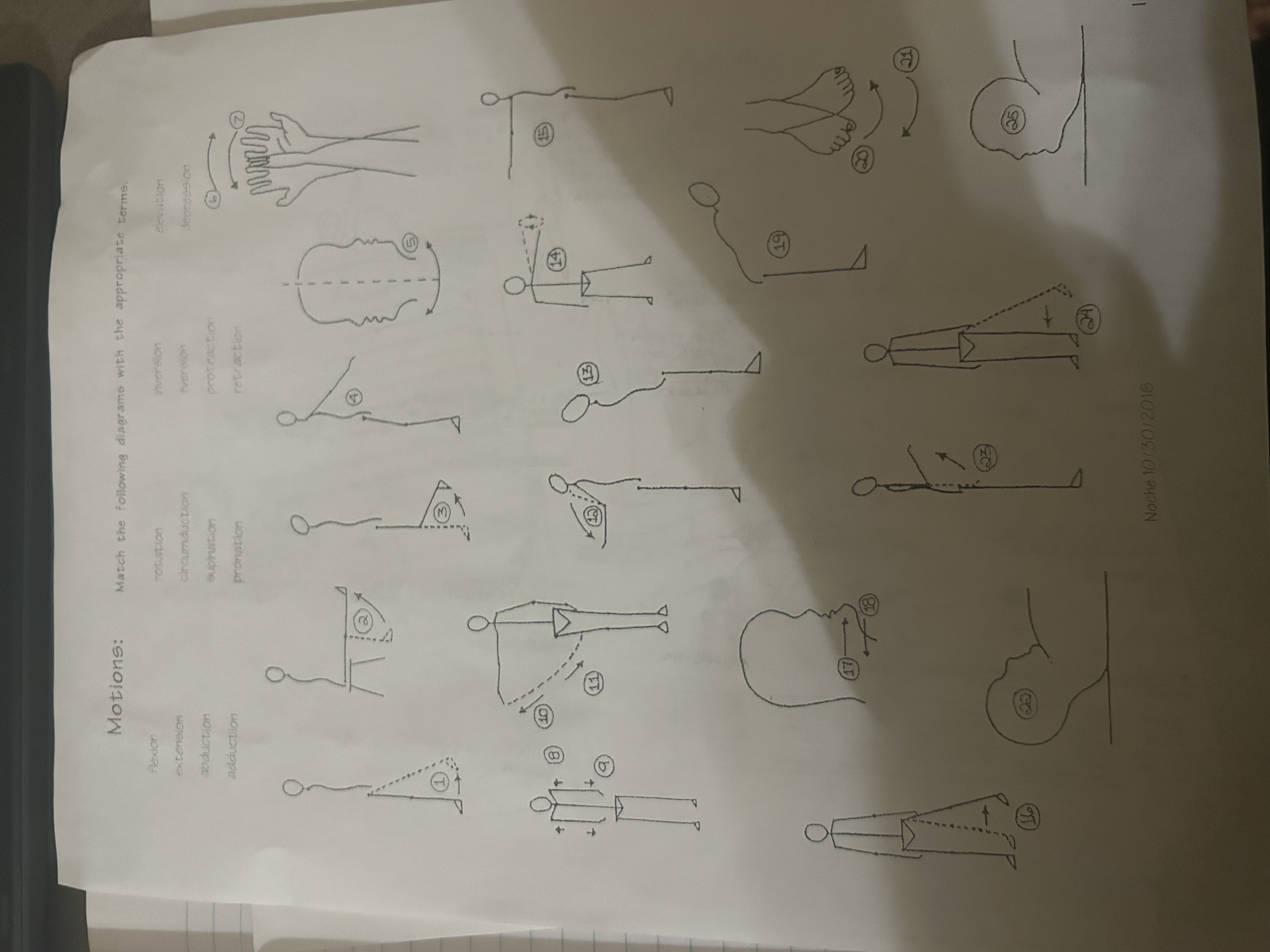 Solved Motions:Match the following diagrams with the | Chegg.com