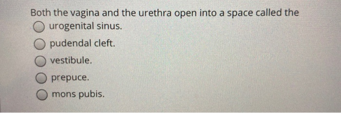 Solved Both the vagina and the urethra open into a space | Chegg.com
