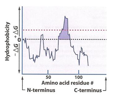 Solved In the following graph, the hydrophobicity of the | Chegg.com