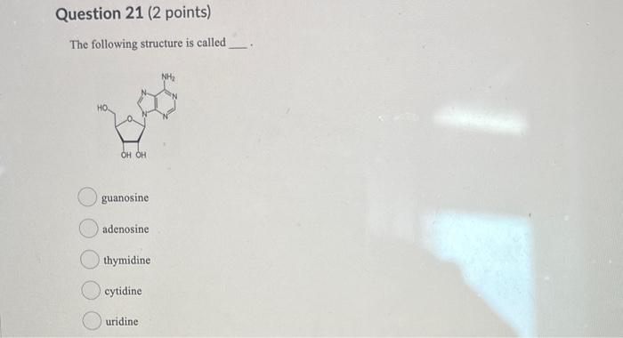 Solved The following structure is called guanosine adenosine | Chegg.com