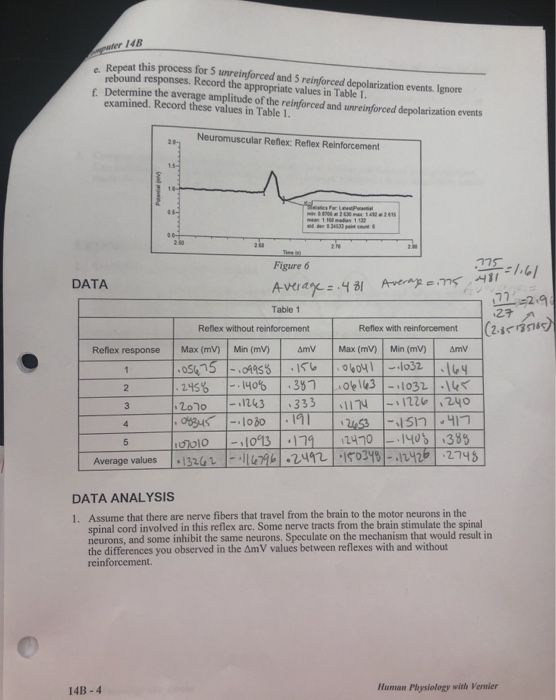 Solved wter 14B e. Repeat this process for 5 unreinforced | Chegg.com