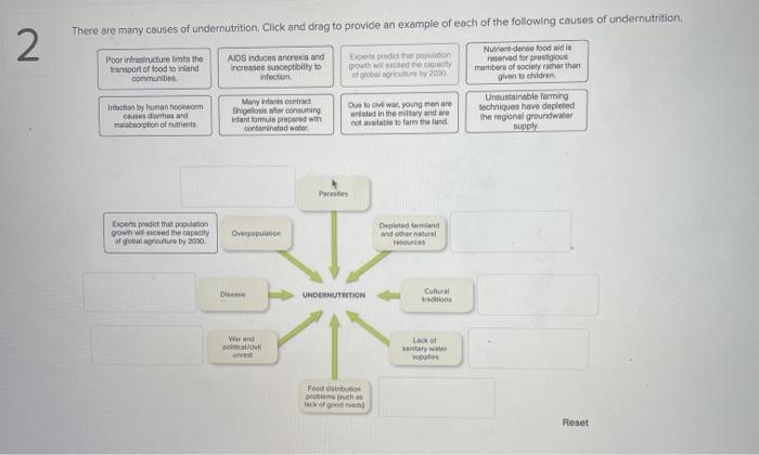 Solved There are many causes of undernutrition. Click and | Chegg.com