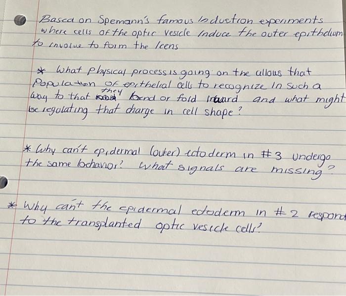 Solved Based on Spemann's famous in dustion experiments | Chegg.com
