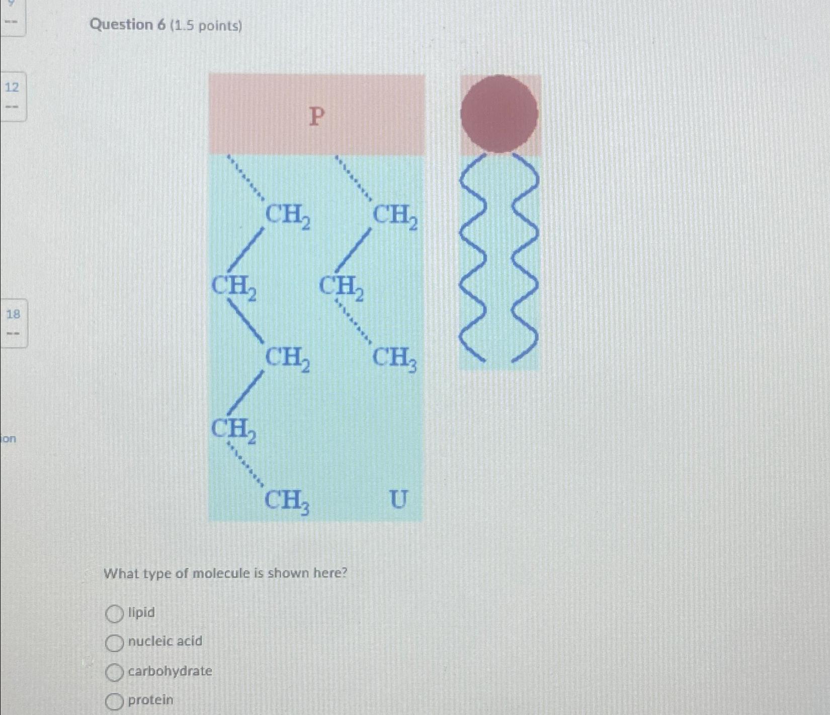 Solved Question 6 (1.5 ﻿points)12What type of molecule is | Chegg.com