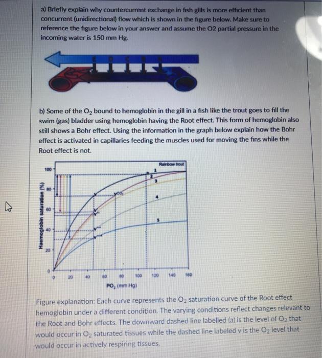 a) Briefly explain why countercurrent exchange in | Chegg.com