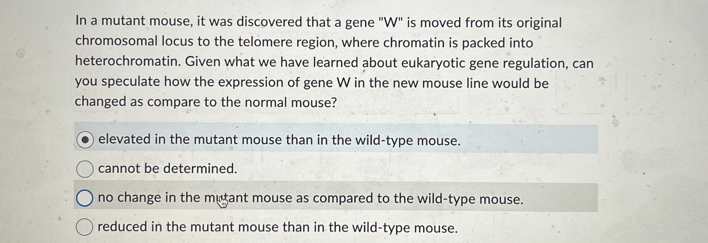 Solved In a mutant mouse, it was discovered that a gene "W" | Chegg.com