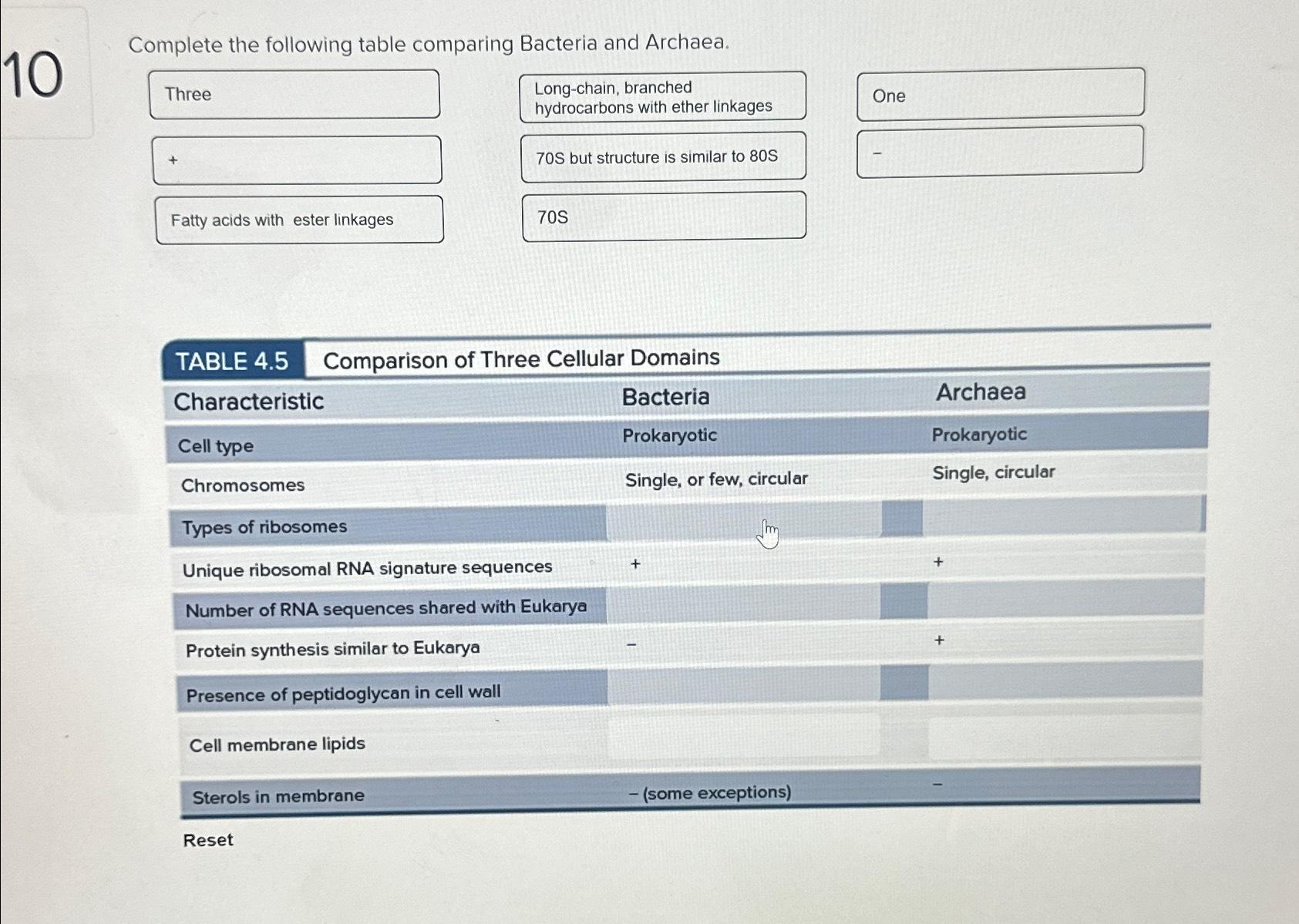 Solved Complete the following table comparing Bacteria and | Chegg.com