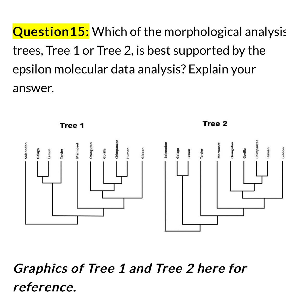 Solved Question 15: Which of the morphological analysis | Chegg.com