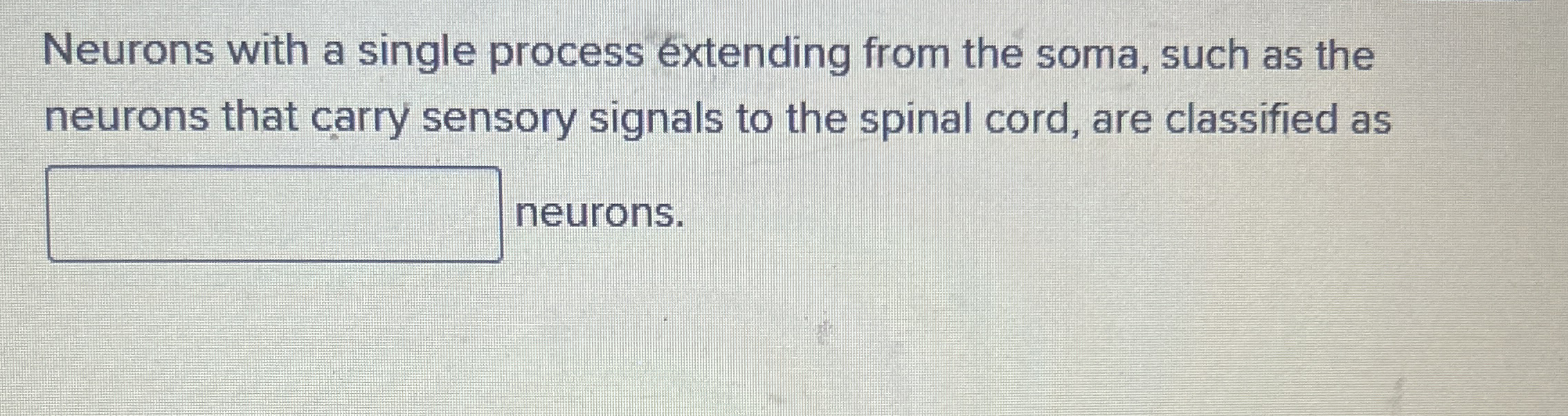 Solved Neurons with a single process extending from the | Chegg.com
