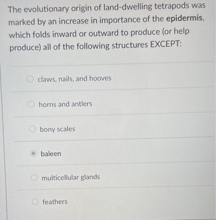 Solved The evolutionary origin of land-dwelling tetrapods | Chegg.com