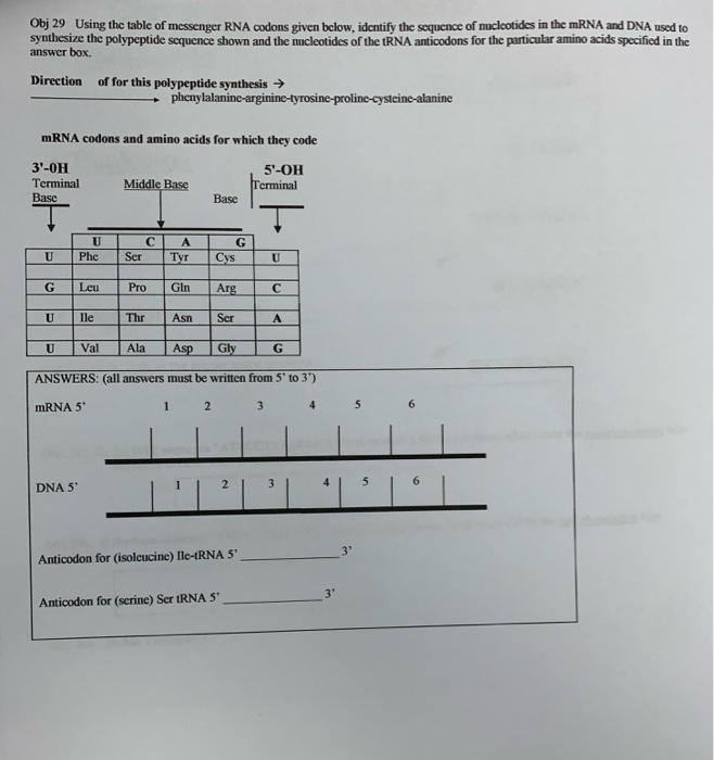 Solved Obj29 Using the table of messenger RNA codons given | Chegg.com