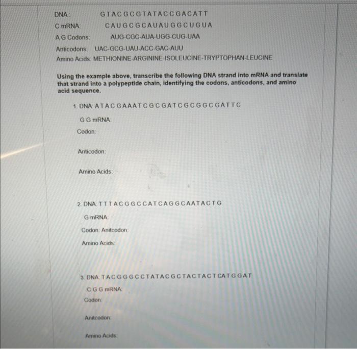 Solved Ising the example above, transcribe the following DNA | Chegg.com Solved Ising the example above, transcribe the following DNA | Chegg.com
