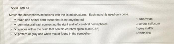 Solved QUESTION 13 Match the descriptions/definitions with | Chegg.com