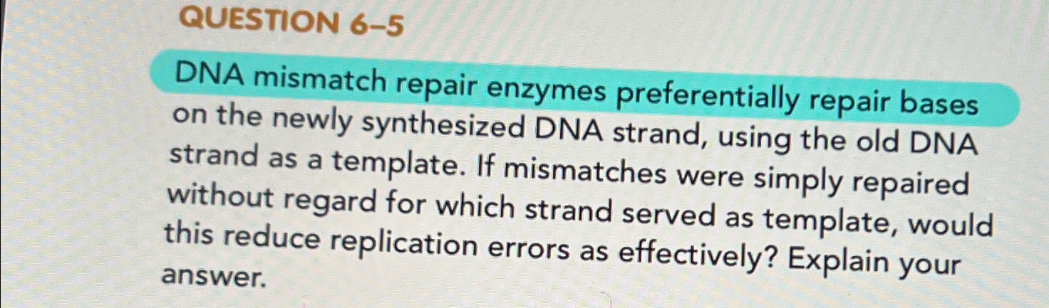 Solved QUESTION 6-5DNA mismatch repair enzymes | Chegg.com