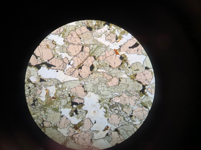Solved i cant figure out the protolith of this thin section | Chegg.com