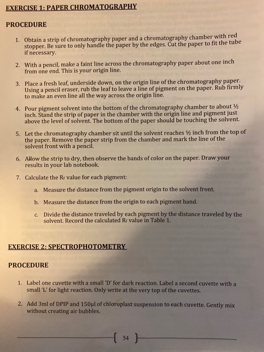 EXERCISE 1: PAPER CHROMATOGRAPHY PROCEDURE 1. Obtain | Chegg.com