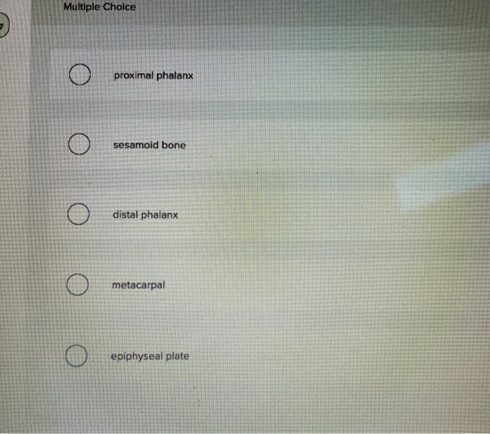 Solved Which structure is highlighted? Multiple Choice | Chegg.com