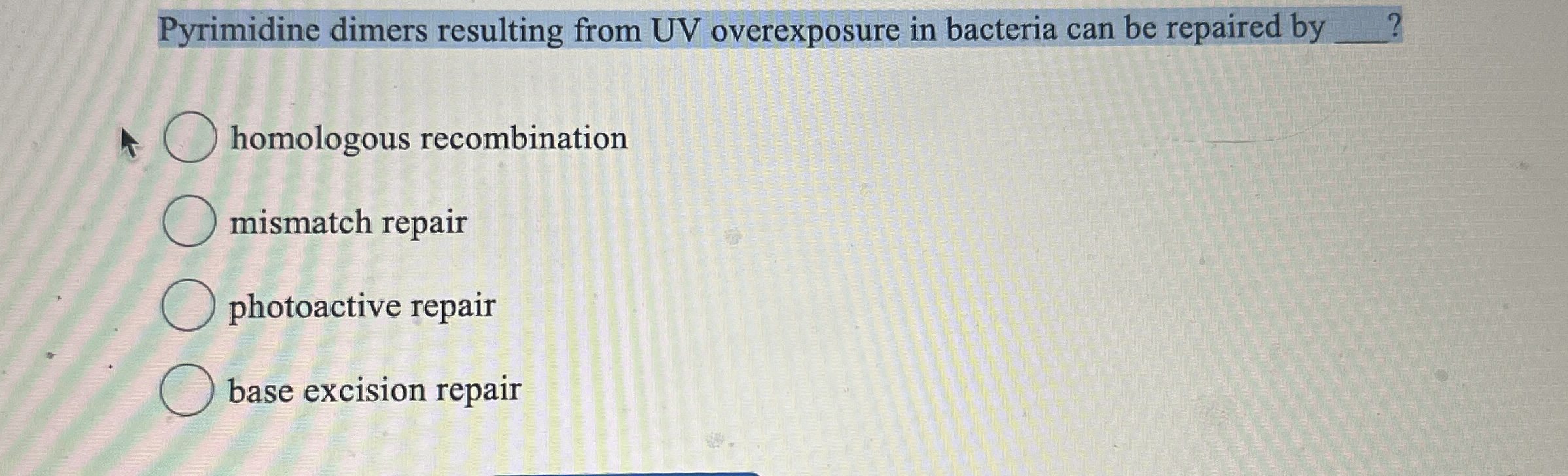 Solved Pyrimidine dimers resulting from UV overexposure in | Chegg.com