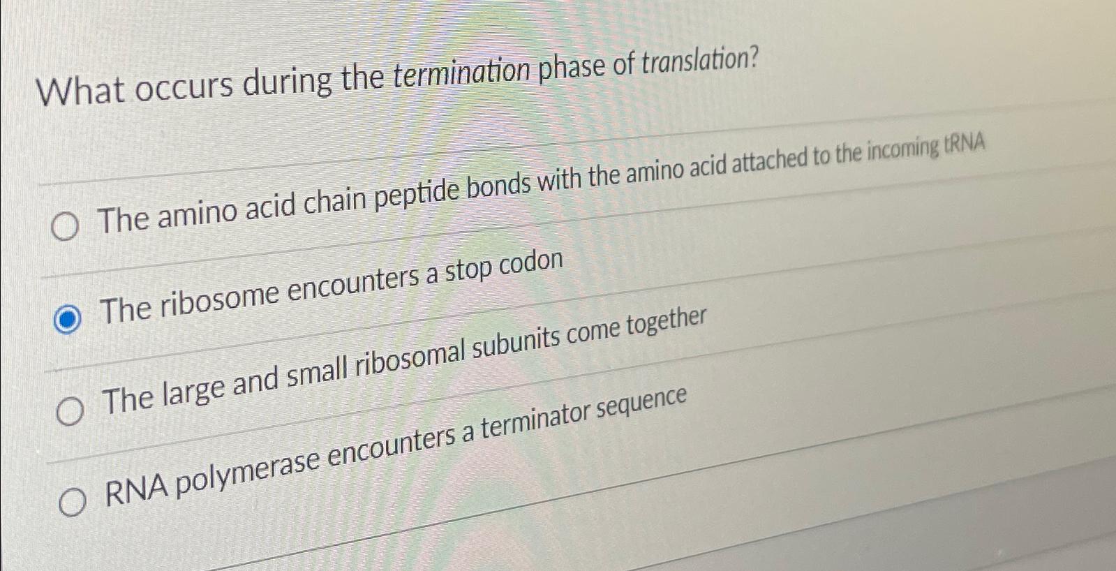Solved What occurs during the termination phase of | Chegg.com