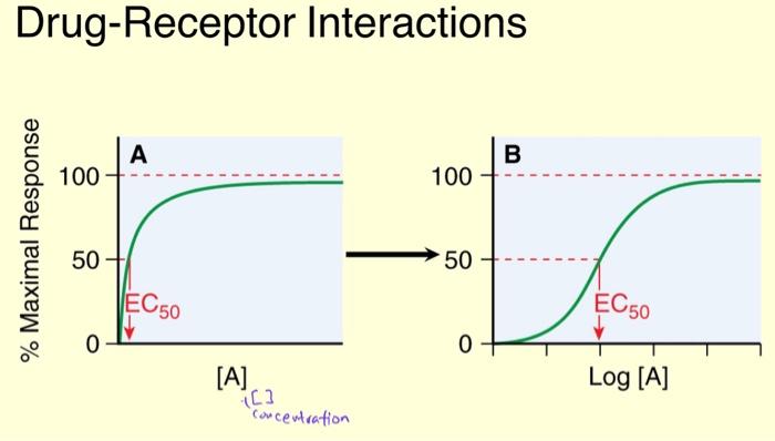 Solved explain the differences of the drug graphs and what | Chegg.com