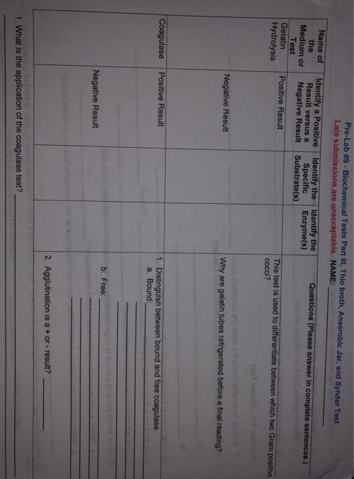 Solved Pre-Lab #9 - Biochemical Tests Part III, Thio broth, | Chegg.com