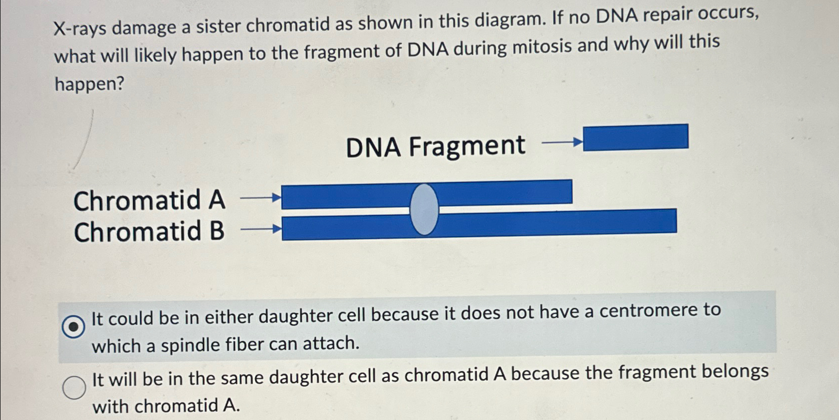 Solved x-rays damage a sister chromatid as shown in this | Chegg.com
