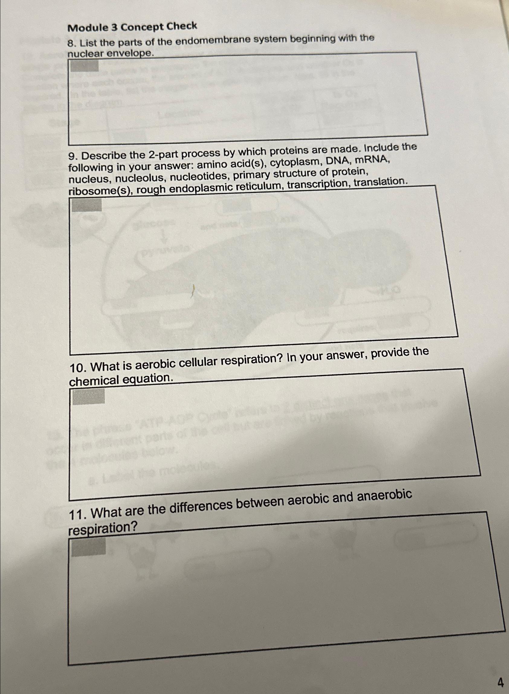 Solved Module 3 ﻿Concept Check8. ﻿List the parts of the | Chegg.com