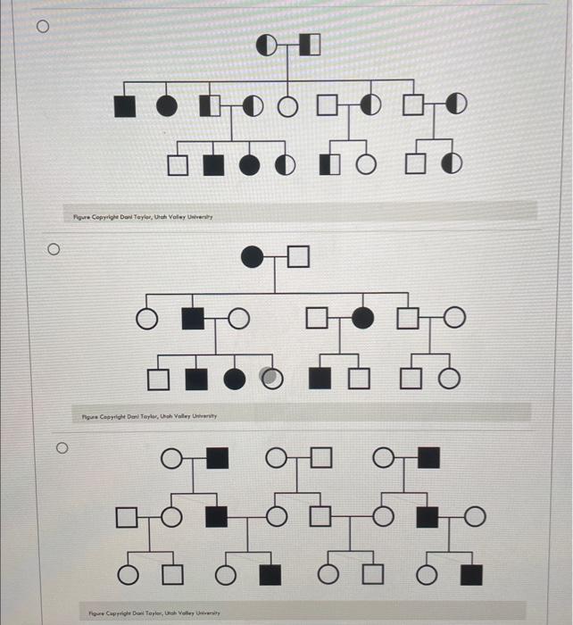 Solved Which pedigree chart would best represents the | Chegg.com