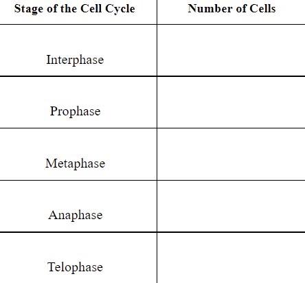 Solved Stage of the Cell Cycle Number of Cells Interphase | Chegg.com