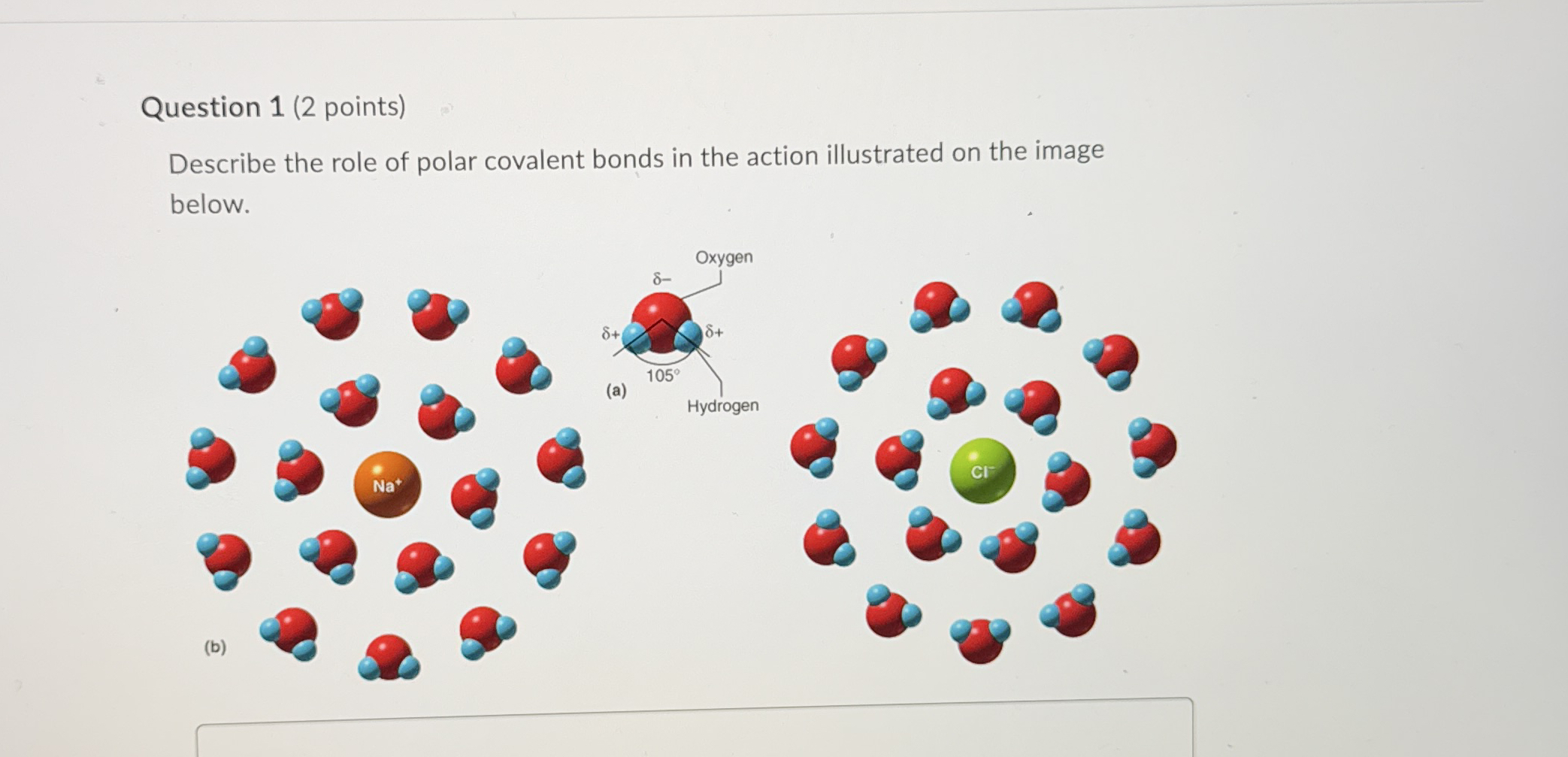 Solved Question 1 (2 ﻿points)Describe the role of polar | Chegg.com
