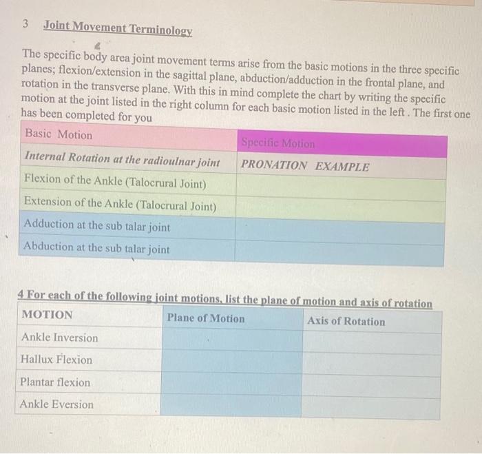 Solved 3 Joint Movement Terminology The specific body area | Chegg.com